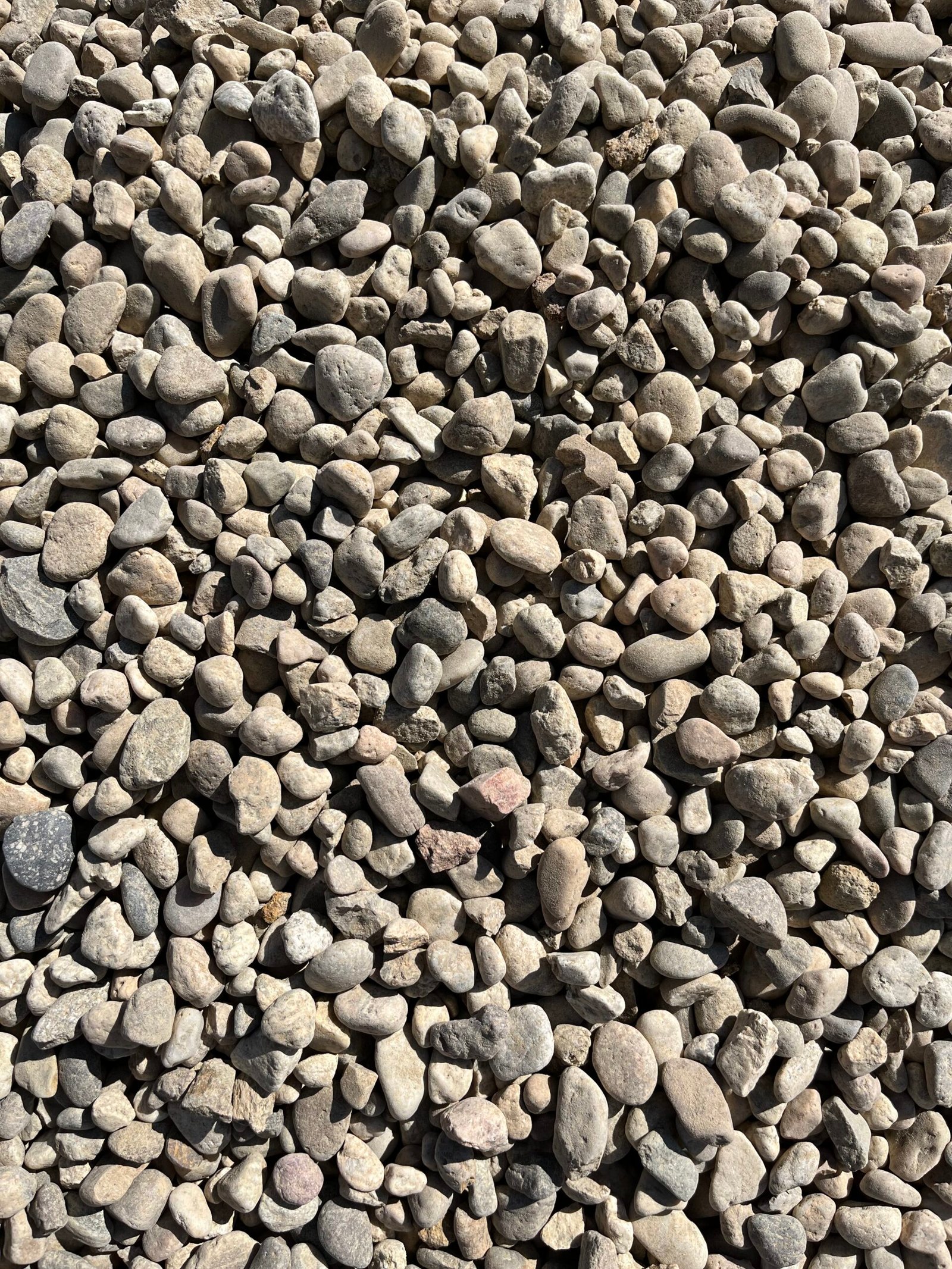 3/4 Del Rio Gravel | Elegant Gardens Nursery Moorpark, CA.